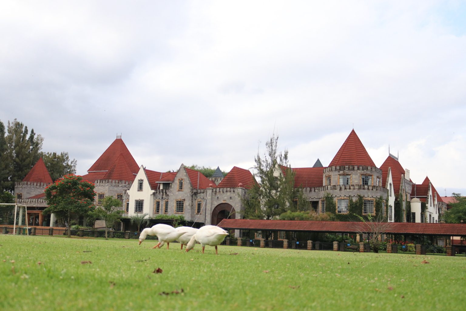 Brookhouse School Records Impressive A-Level and IGCSE Results in 2020 ...